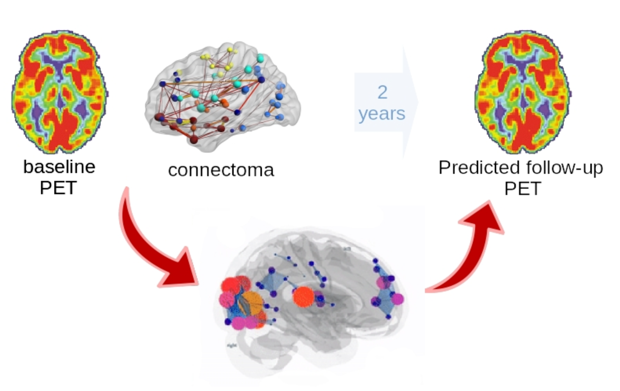 Modeling the Spread of Misfolded Proteins in Alzheimer’s Disease using ...